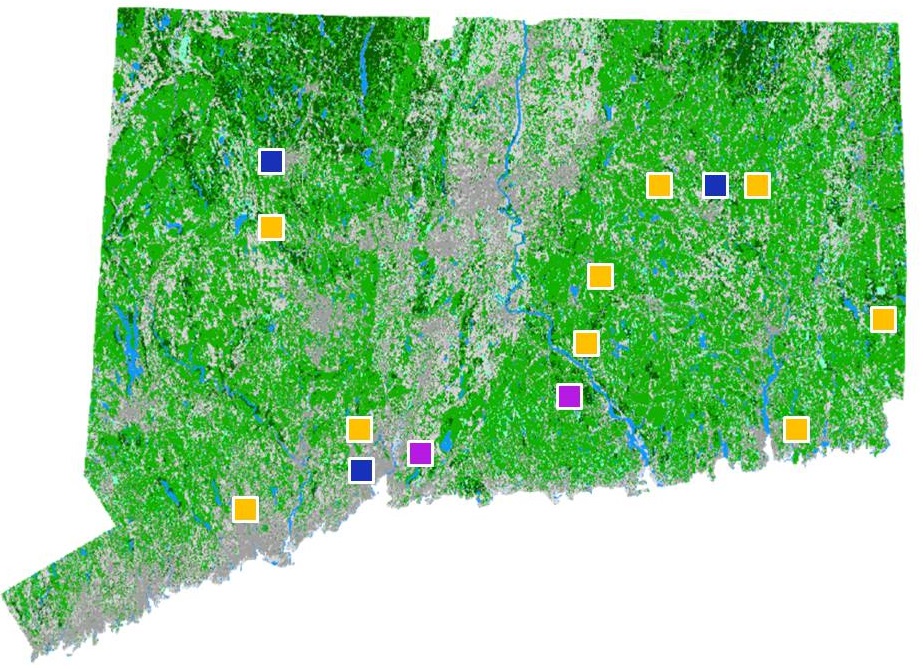 Research Demonstration Sites | Stormwise Forest Management